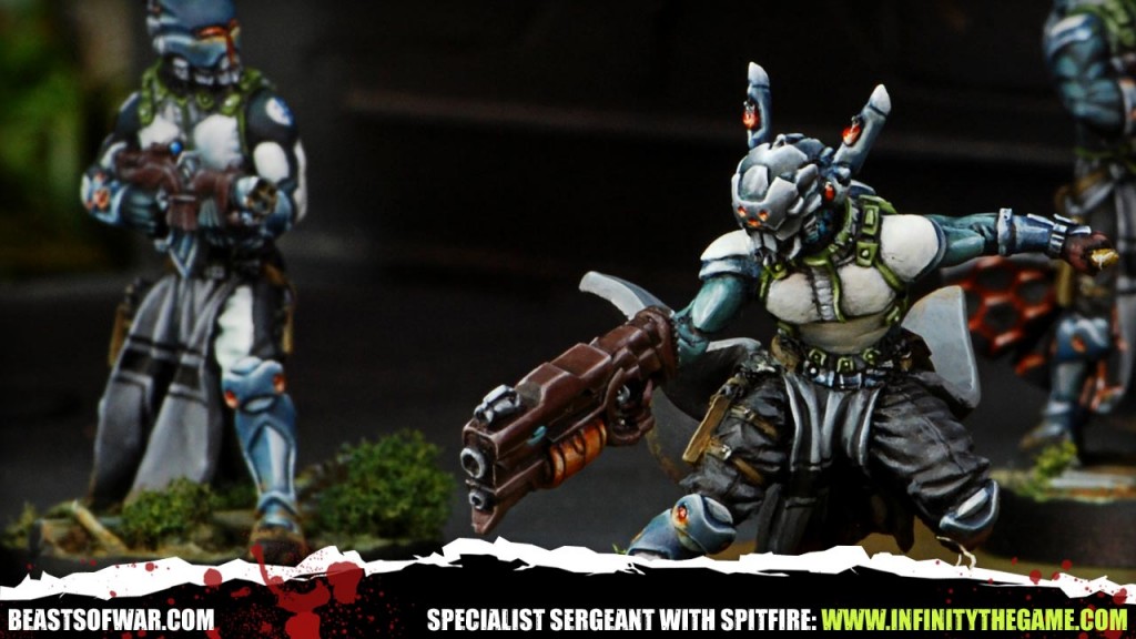 Brand New from Infinity – Specialist Sergeant with Spitfire ...