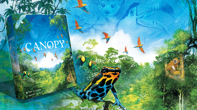 Nurture A Bountiful Rainforest In Card Game, Canopy! – OnTableTop ...