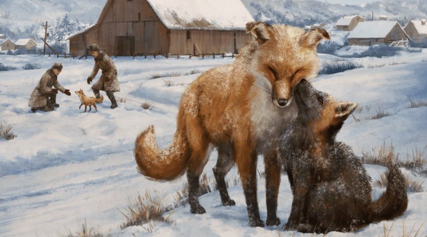 Invite Foxes Into The Family Home In The Fox Experiment – OnTableTop ...